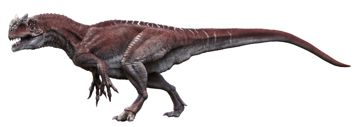 allosaurus